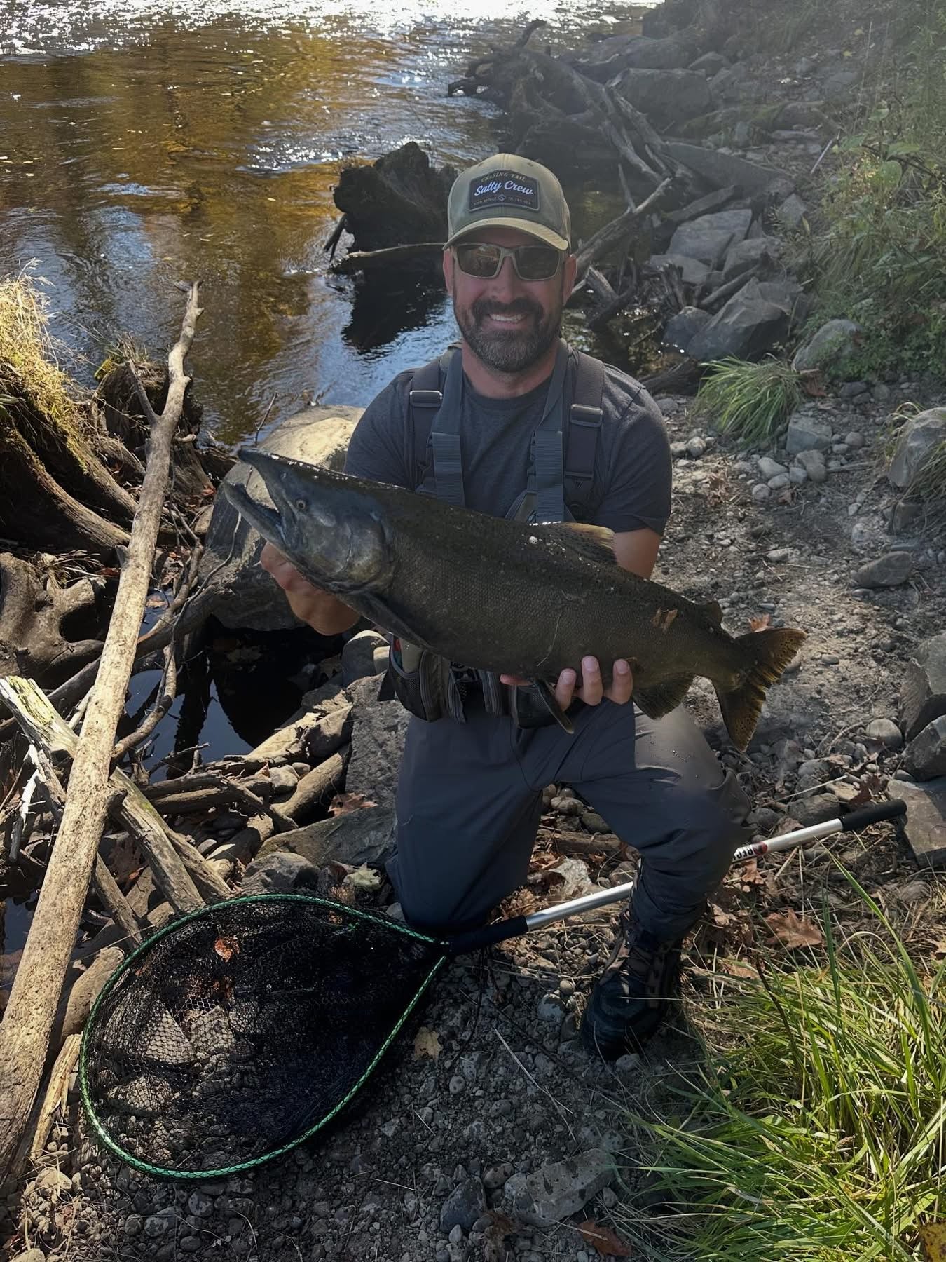 NY Salmon/Steelhead Report as of 10/15/2025