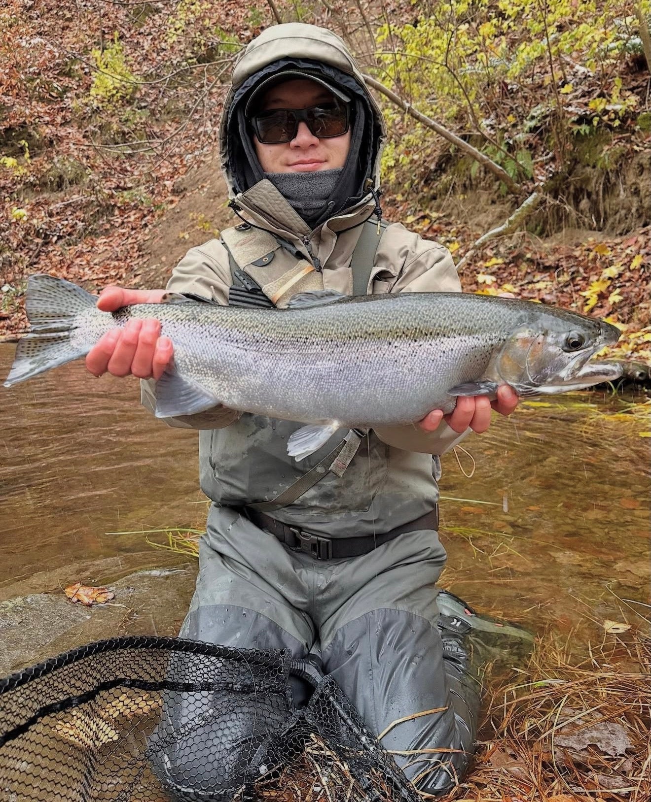 NY Salmon/Steelhead Report as of 11/15/2025