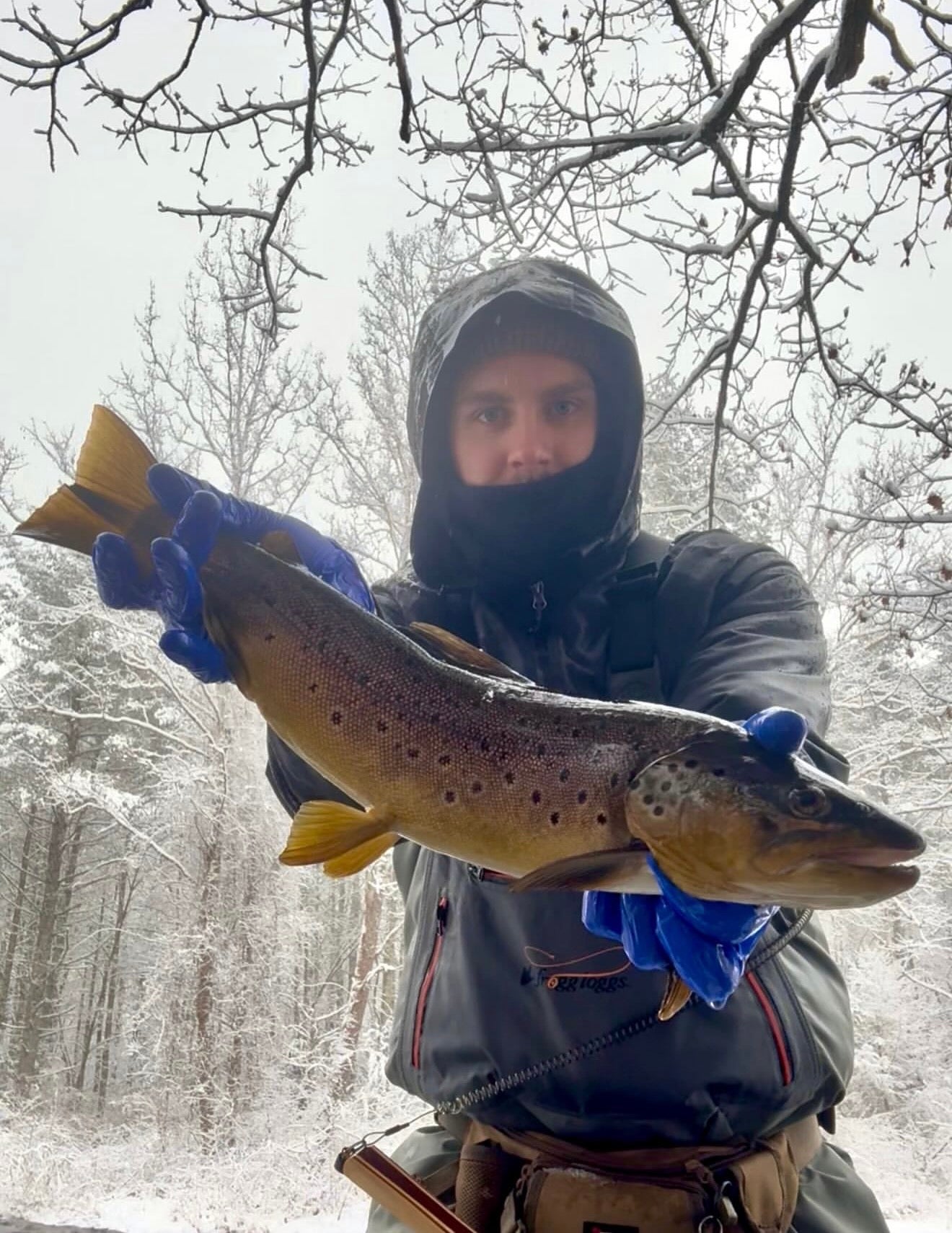 CT Freshwater Report as of 1/25/2026