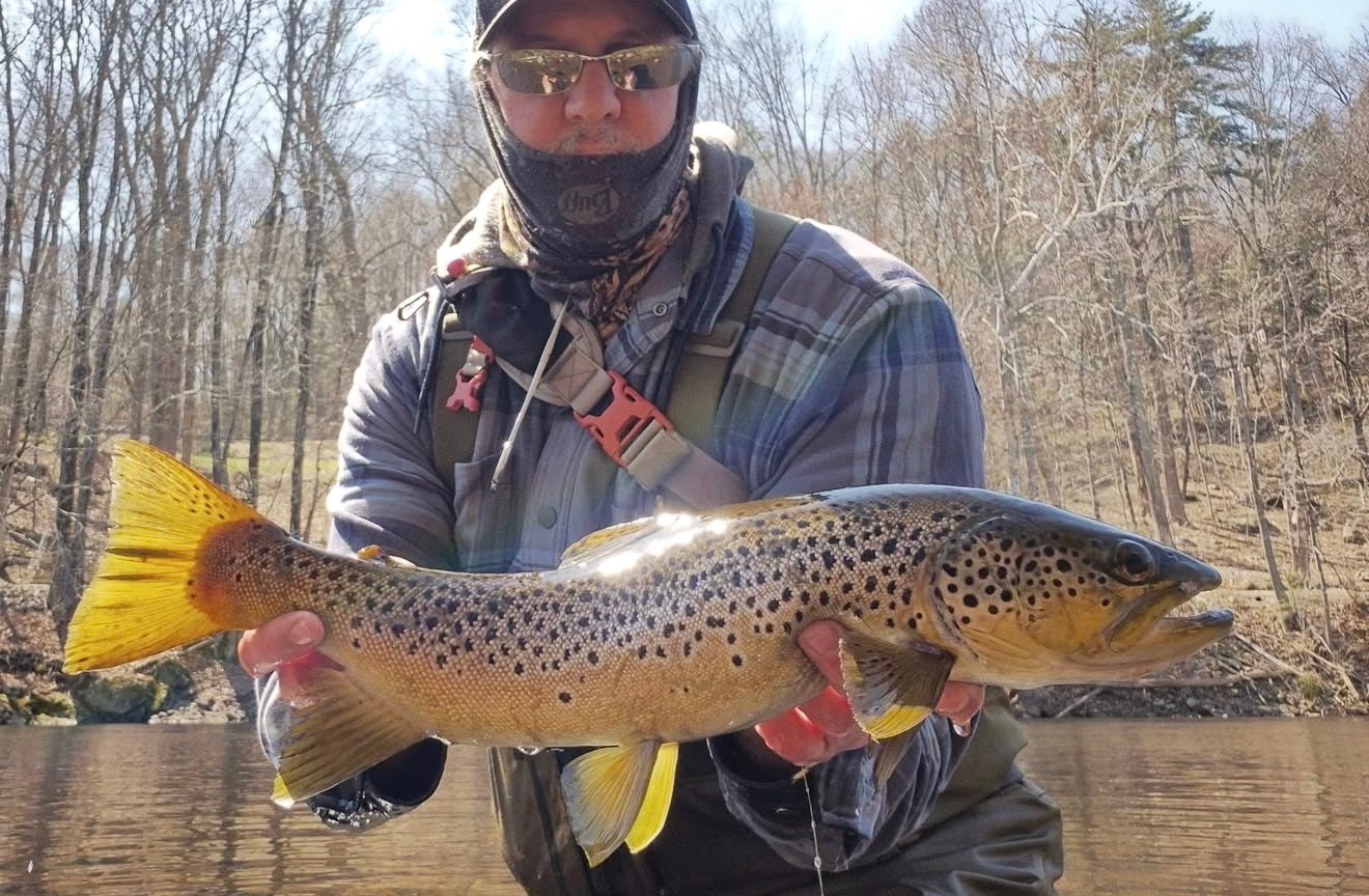 CT Freshwater Report as of 4/11/2026